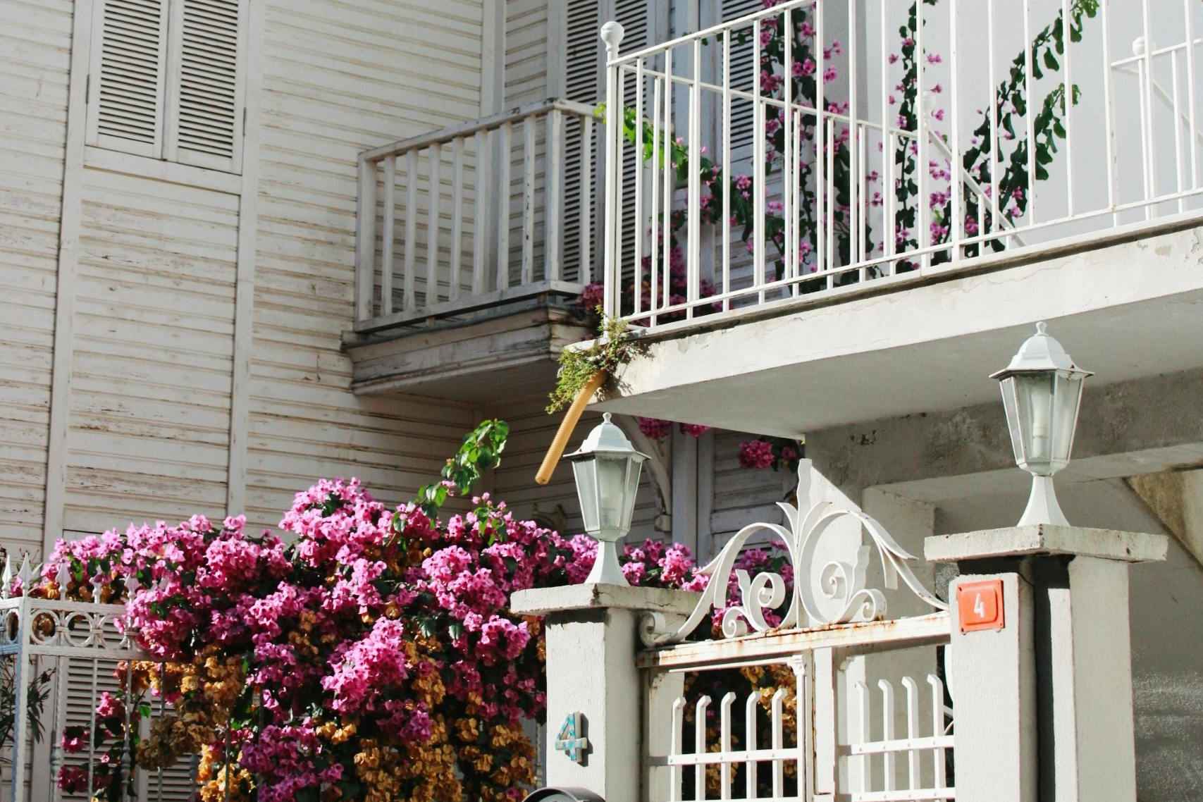 Wiseberry Real Estate | Landlord Spring Home Health Check